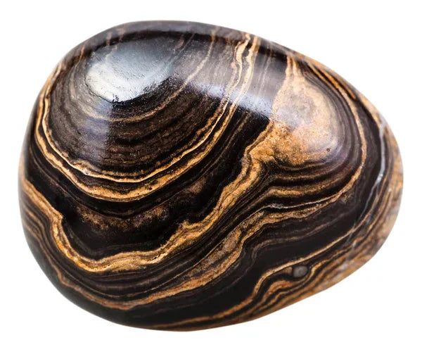 Unearth Ancient Wisdom with Stromatolite: Crystal Properties, Healing ...