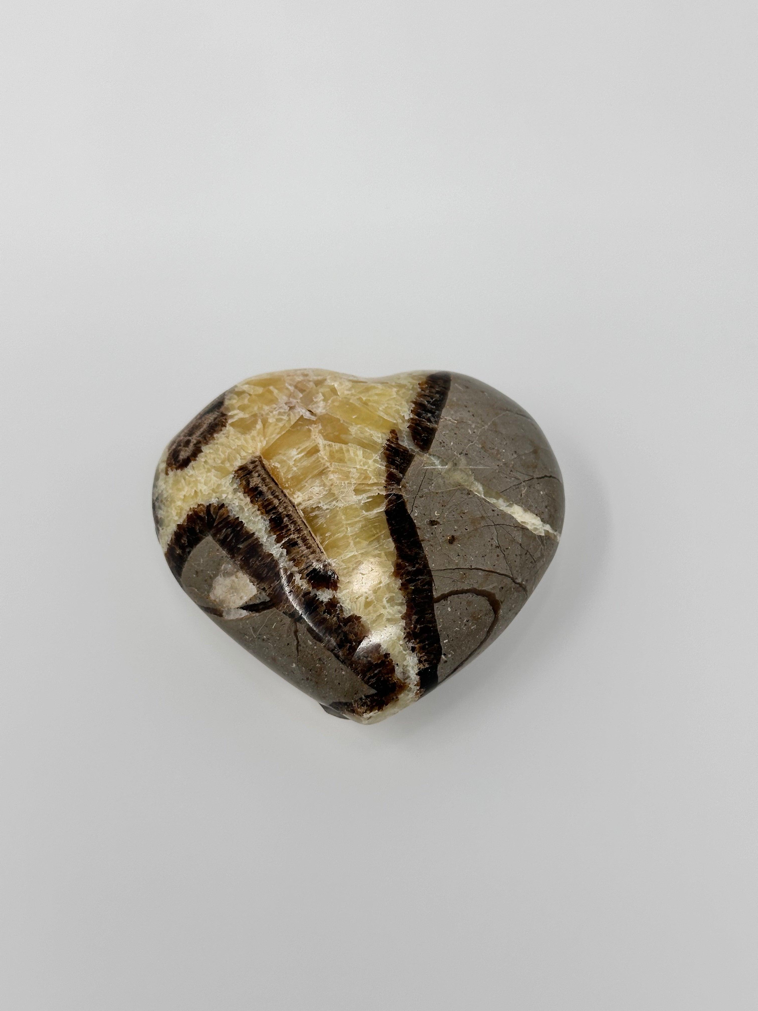 Septarian Heart-Heart : 250 -300 g – The Harmony Store