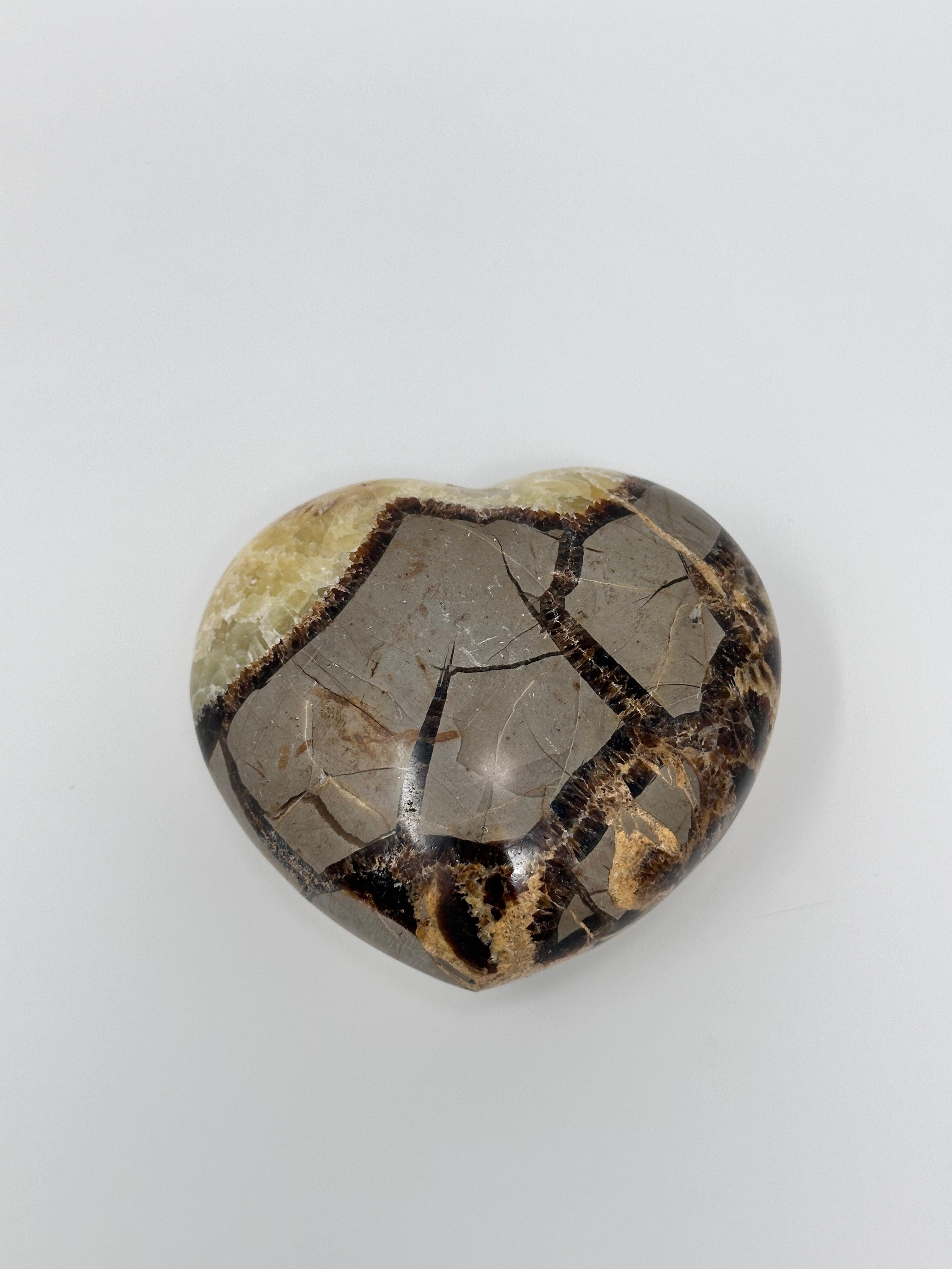 Septarian Heart-Heart : 300 - 350 g – The Harmony Store