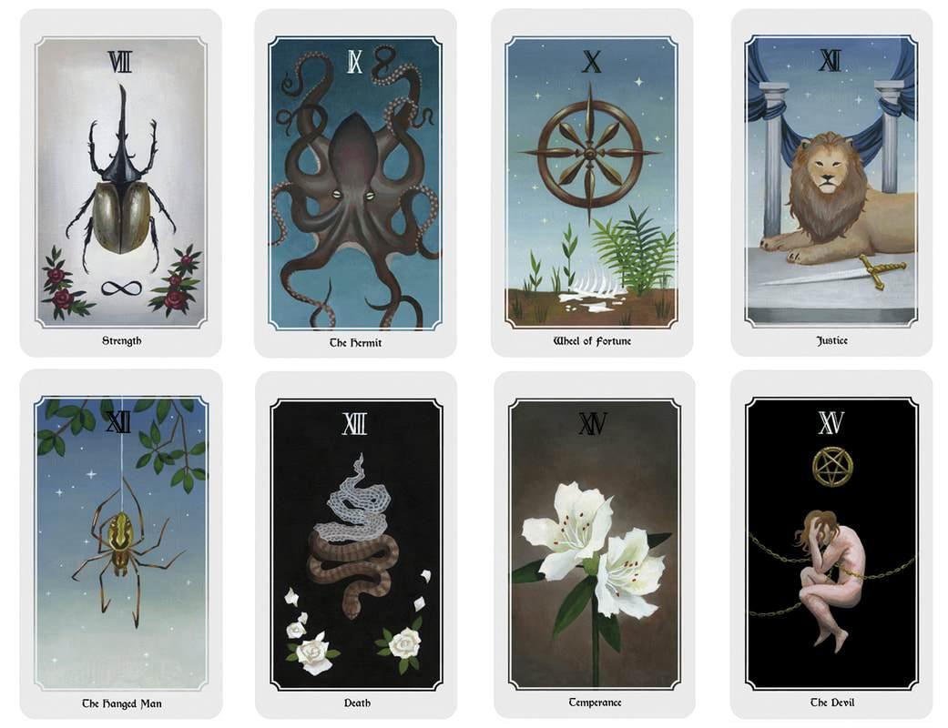 Anima Mundi Tarot Deck – The Harmony Store